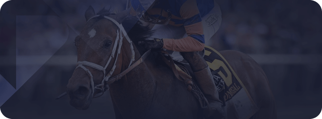 Betclic Turf France : Paris Hippiques et Courses en direct