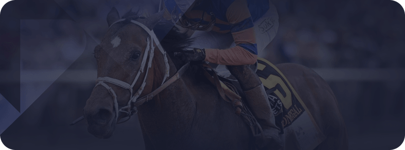 Betclic Turf France : Paris Hippiques et Courses en direct